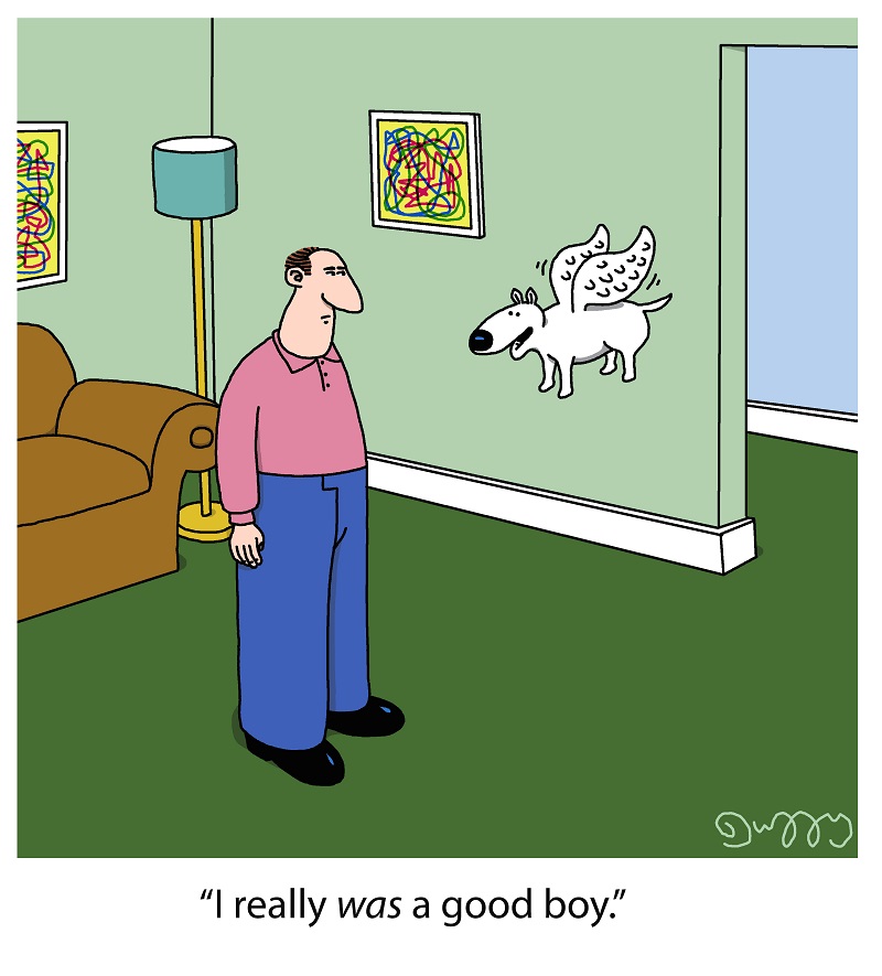 Cartoon Caption Contest - CartoonStock