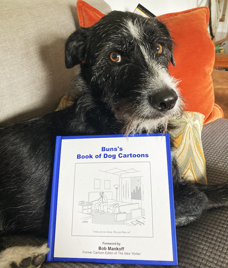 Personalized Pet Books - CartoonStock